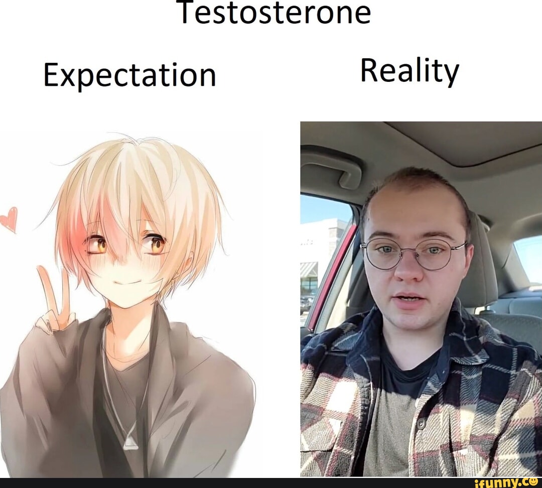Testosterone Expectation Reality - iFunny
