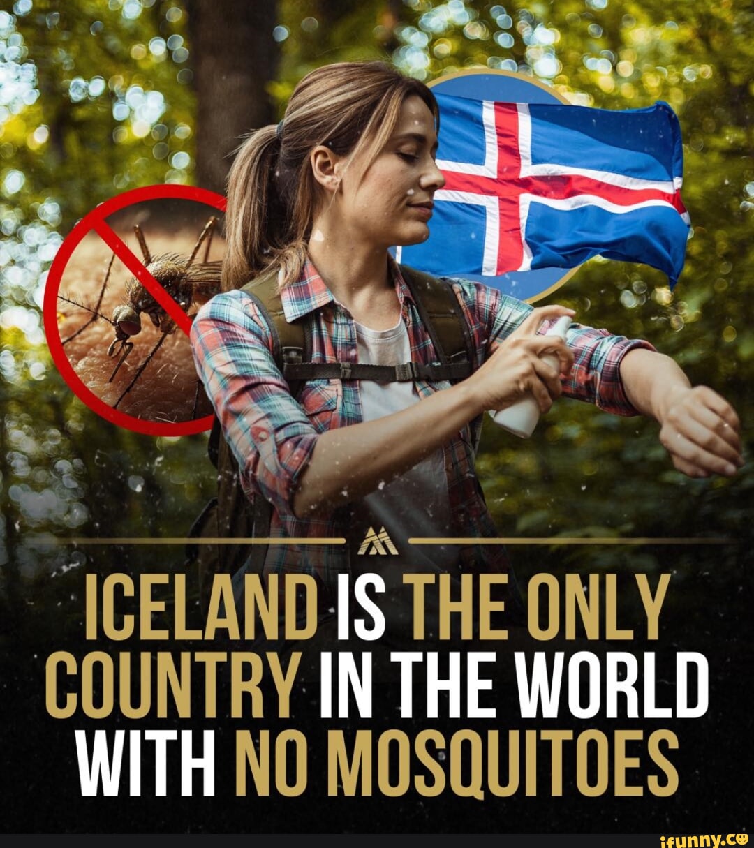 IS THE ONLY COUNTRY IN THE WORLD WITH NO MOSQUITOES - iFunny