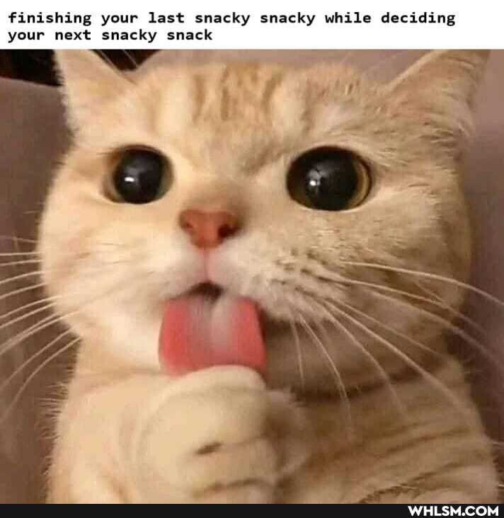 Finishing your last snacky snacky while deciding your next snacky snack ...