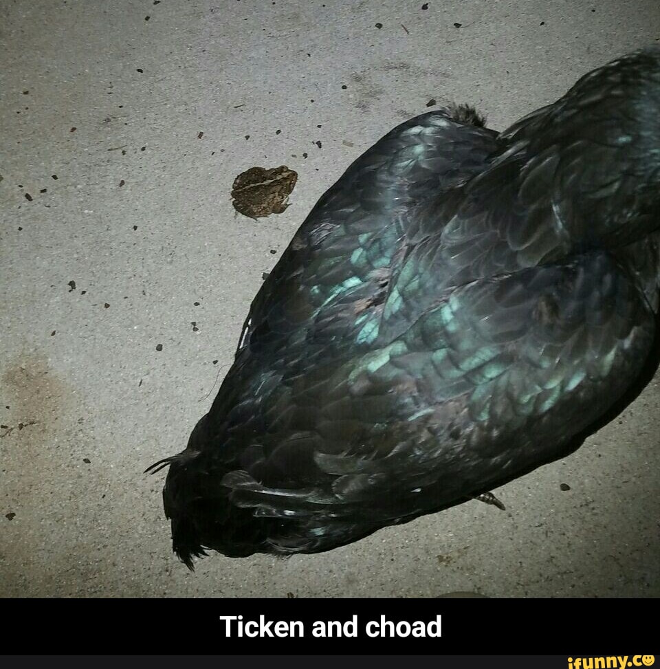 Choad memes. Best Collection of funny Choad pictures on iFunny