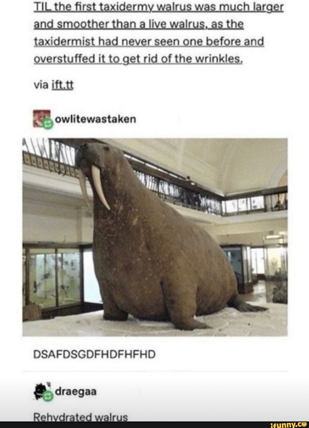 Overstuffed memes. Best Collection of funny Overstuffed pictures on iFunny