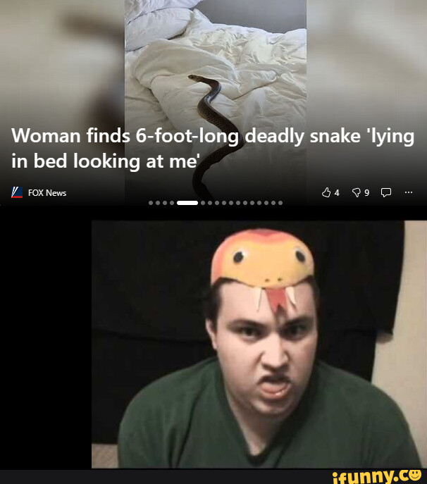 Woman finds 6-foot-long deadly snake 'lying in bed looking at me' FOX ...