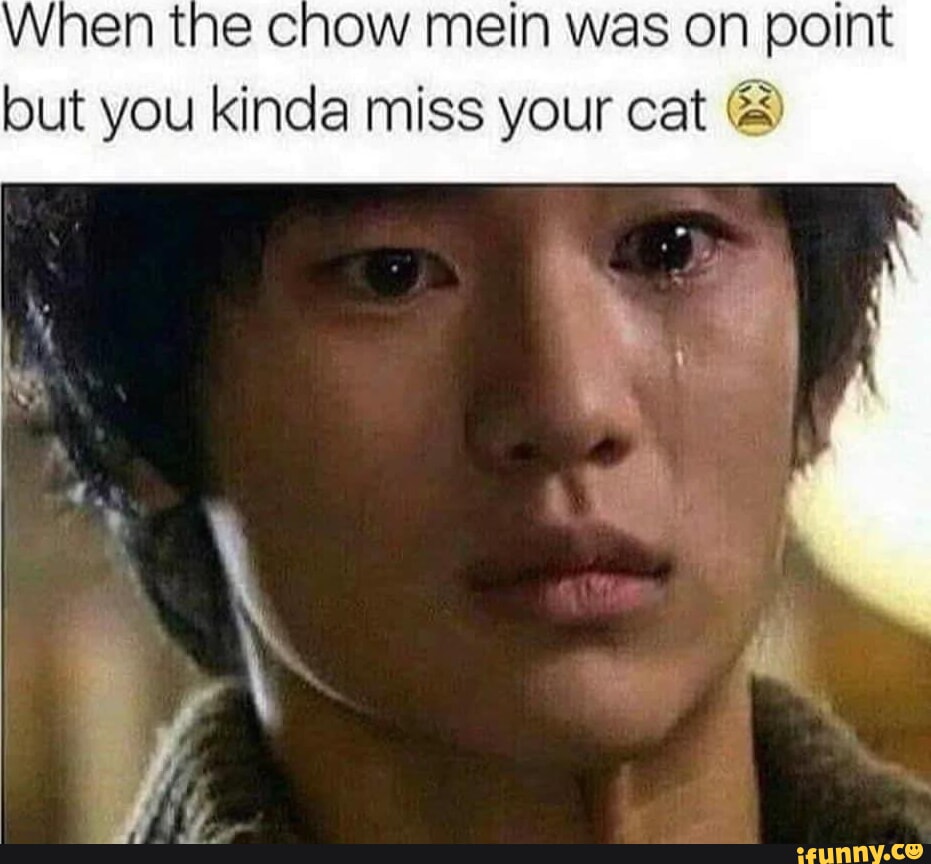 When the chow mein was on point but you kinda miss your cat - iFunny
