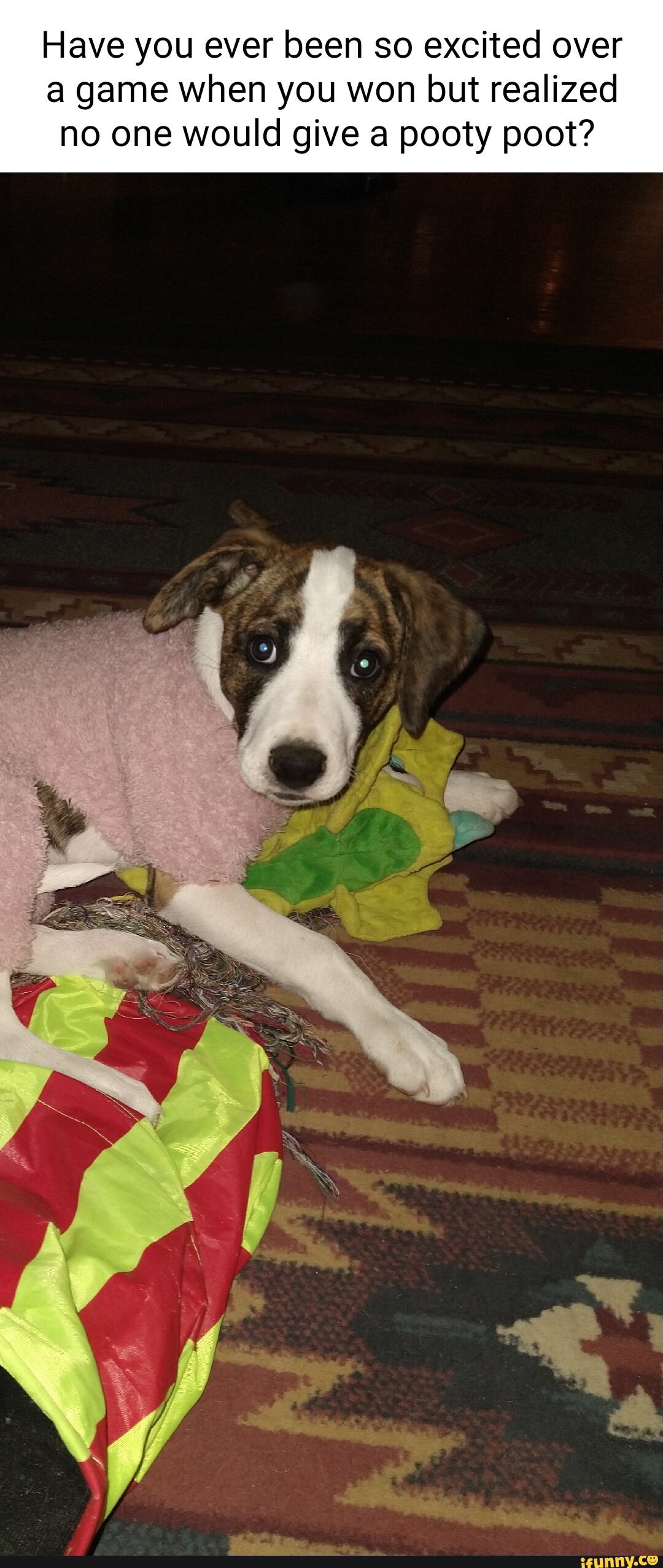 Pooty memes. Best Collection of funny Pooty pictures on iFunny