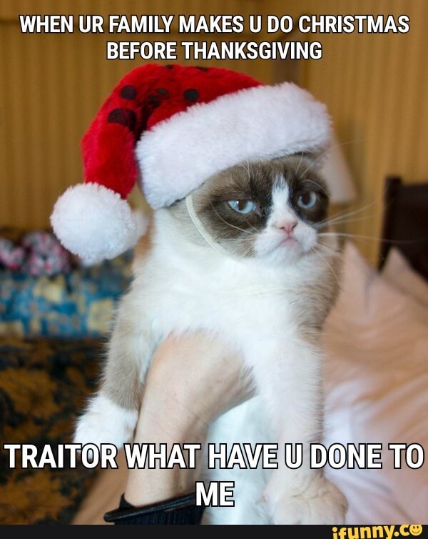 Thanksgiving Grumpy Cat