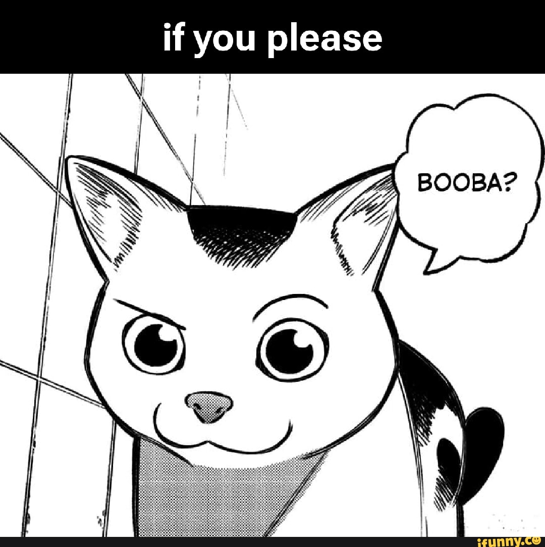 Bewbs memes. Best Collection of funny Bewbs pictures on iFunny