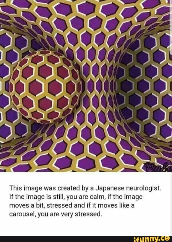 This image was created by a Japanese neurologist If the image is still ...