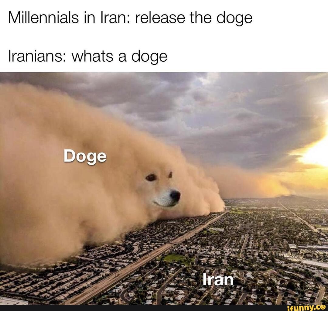 Millennials in Iran: release the doge lranians: whats a doge - iFunny