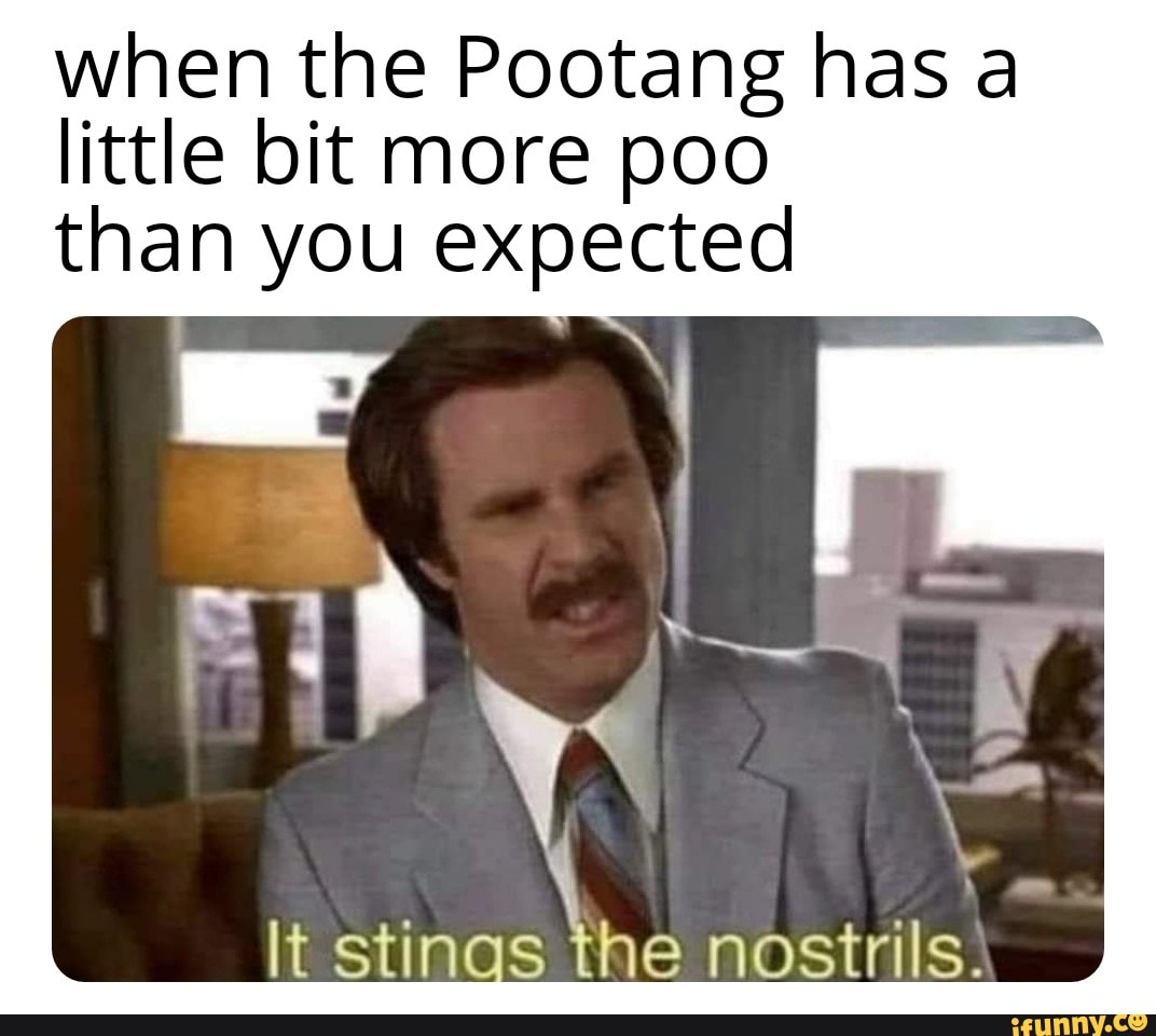 Pootang memes. Best Collection of funny Pootang pictures on iFunny