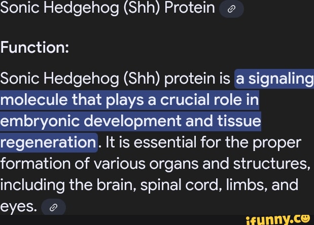 Sonic Hedgehog (Shh) Protein Function: Sonic Hedgehog (Shh) protein is ...