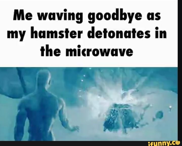 Me waving goodbye as my hamster detonates in the microwave - iFunny