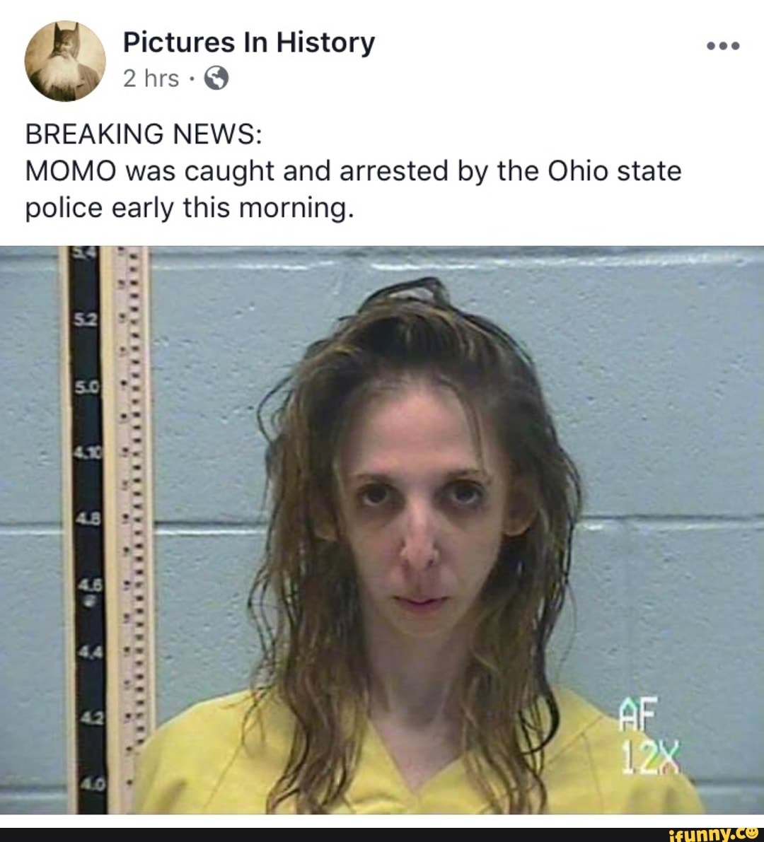 BREAKING NEWS: MOMO was caught and arrested by the Ohio state police ...