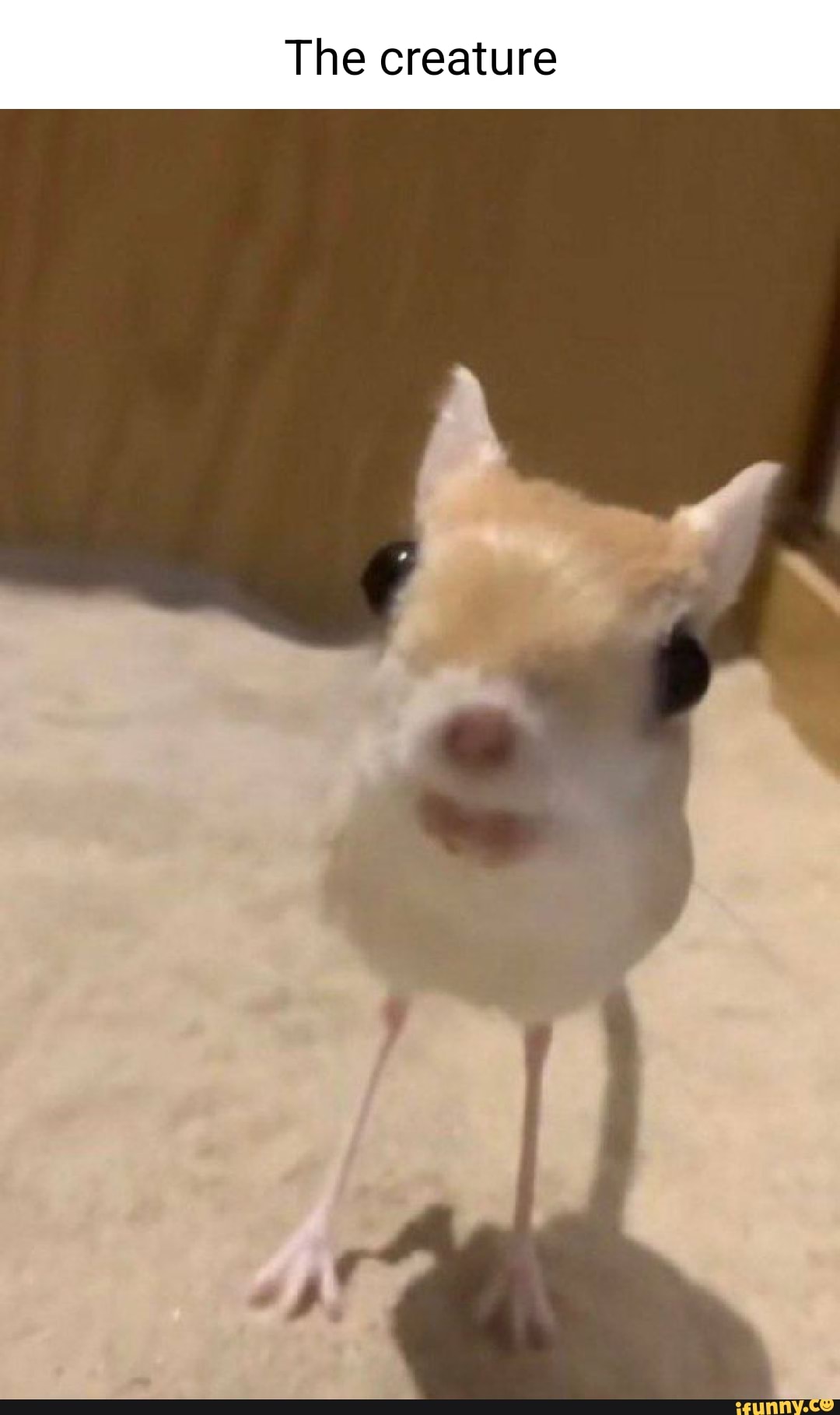 The creature - iFunny