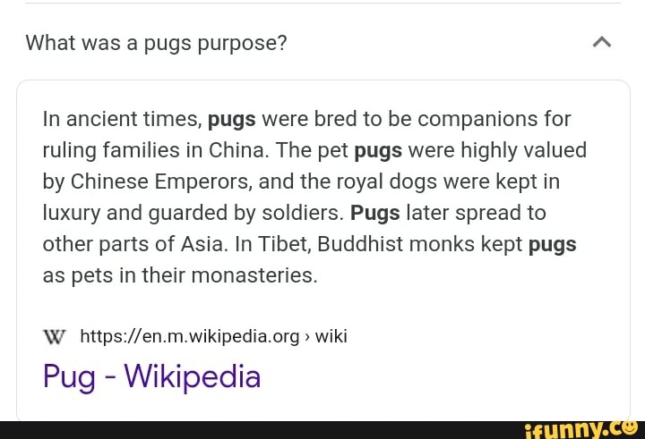 What was a pugs purpose? In ancient times, pugs were bred to be ...