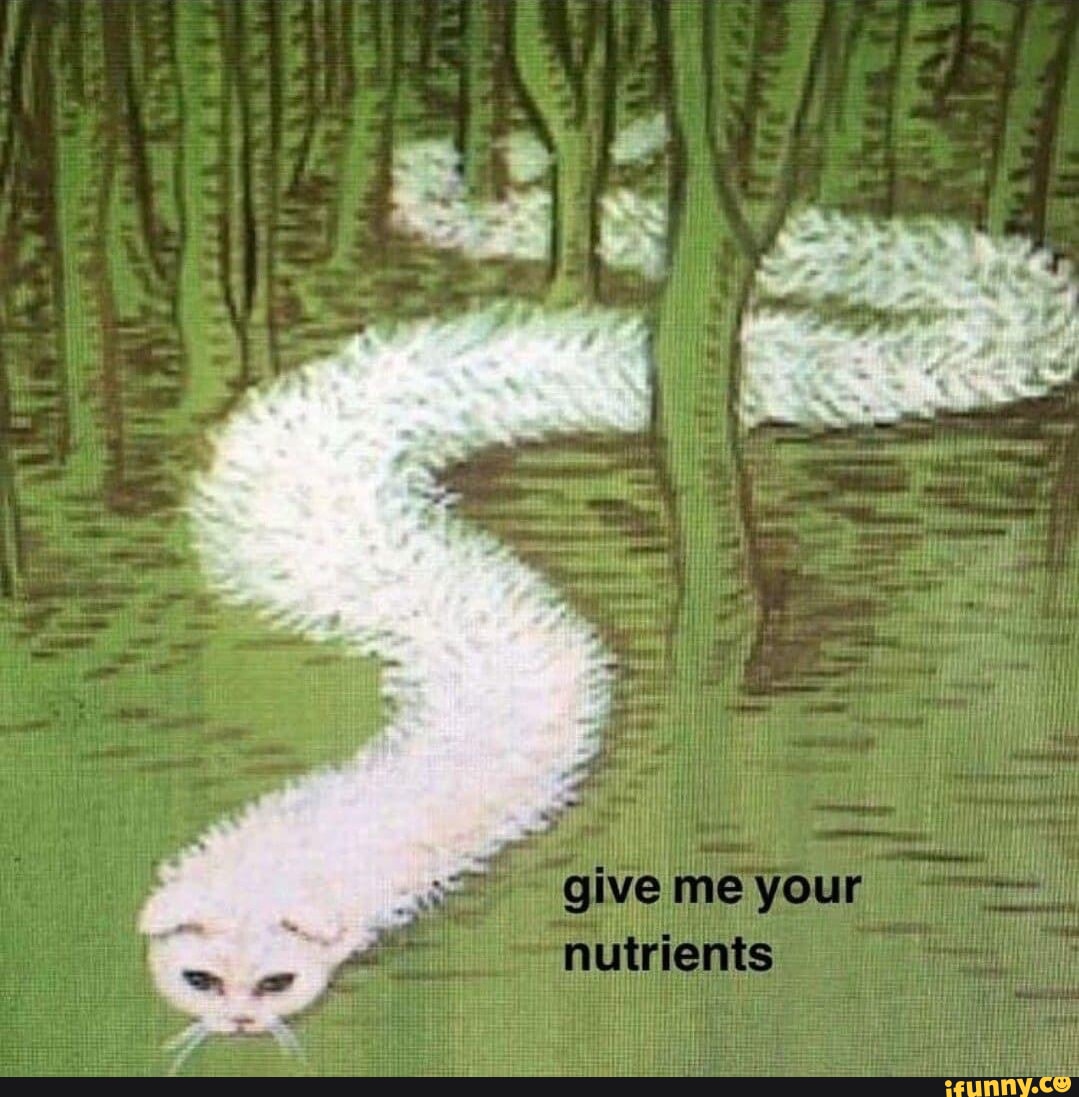 Nutrients memes. Best Collection of funny Nutrients pictures on iFunny