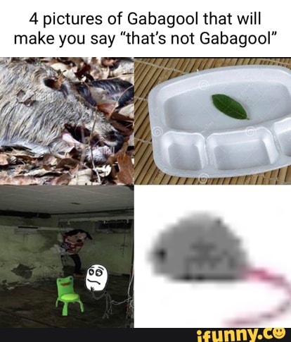 4 pictures of Gabagool that will make you say "that's not Gabagool ...