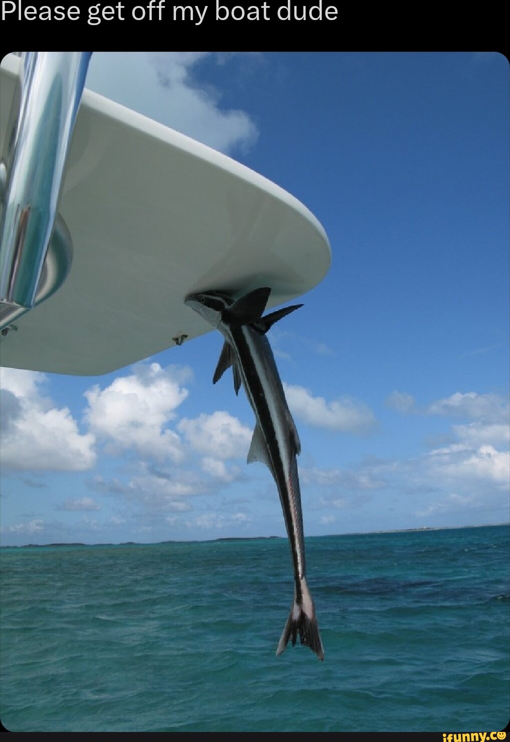 Please get off my boat dude - iFunny