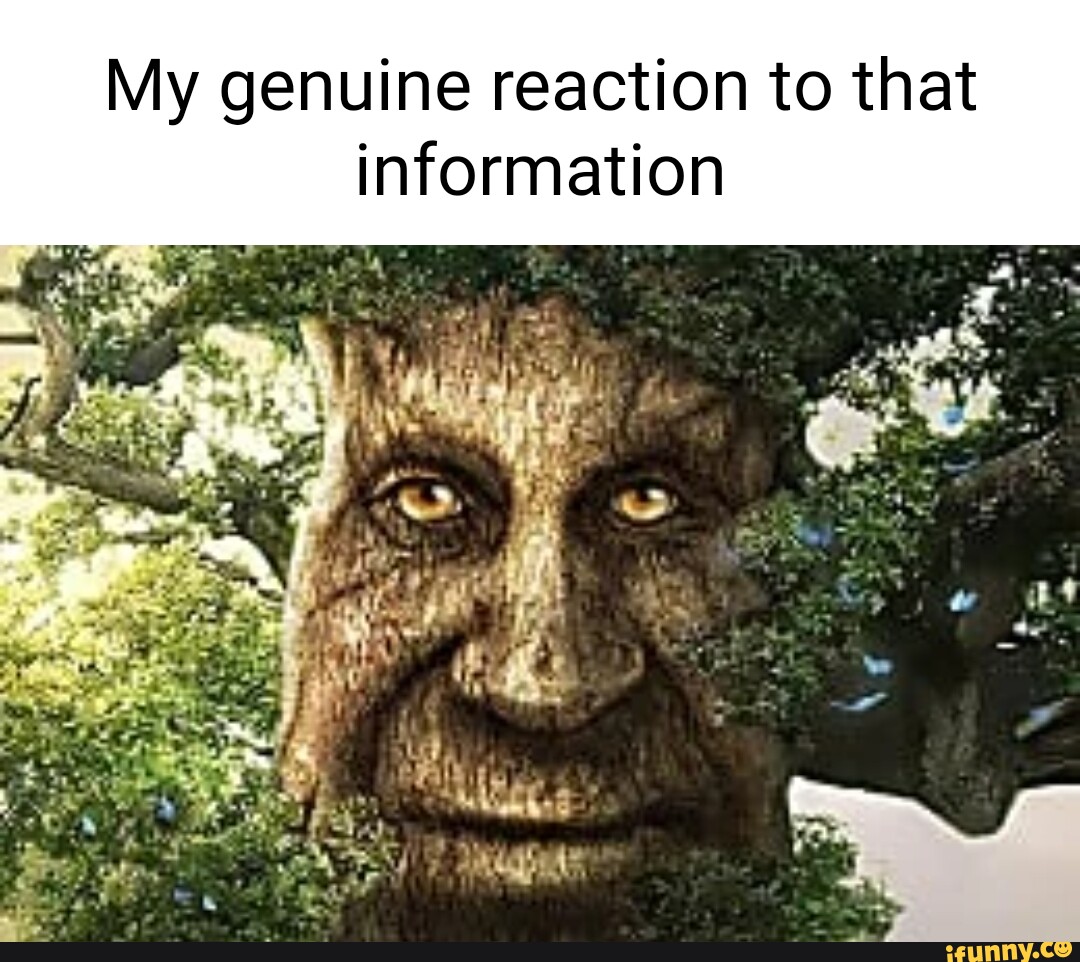 My genuine reaction to that information alt - iFunny Brazil