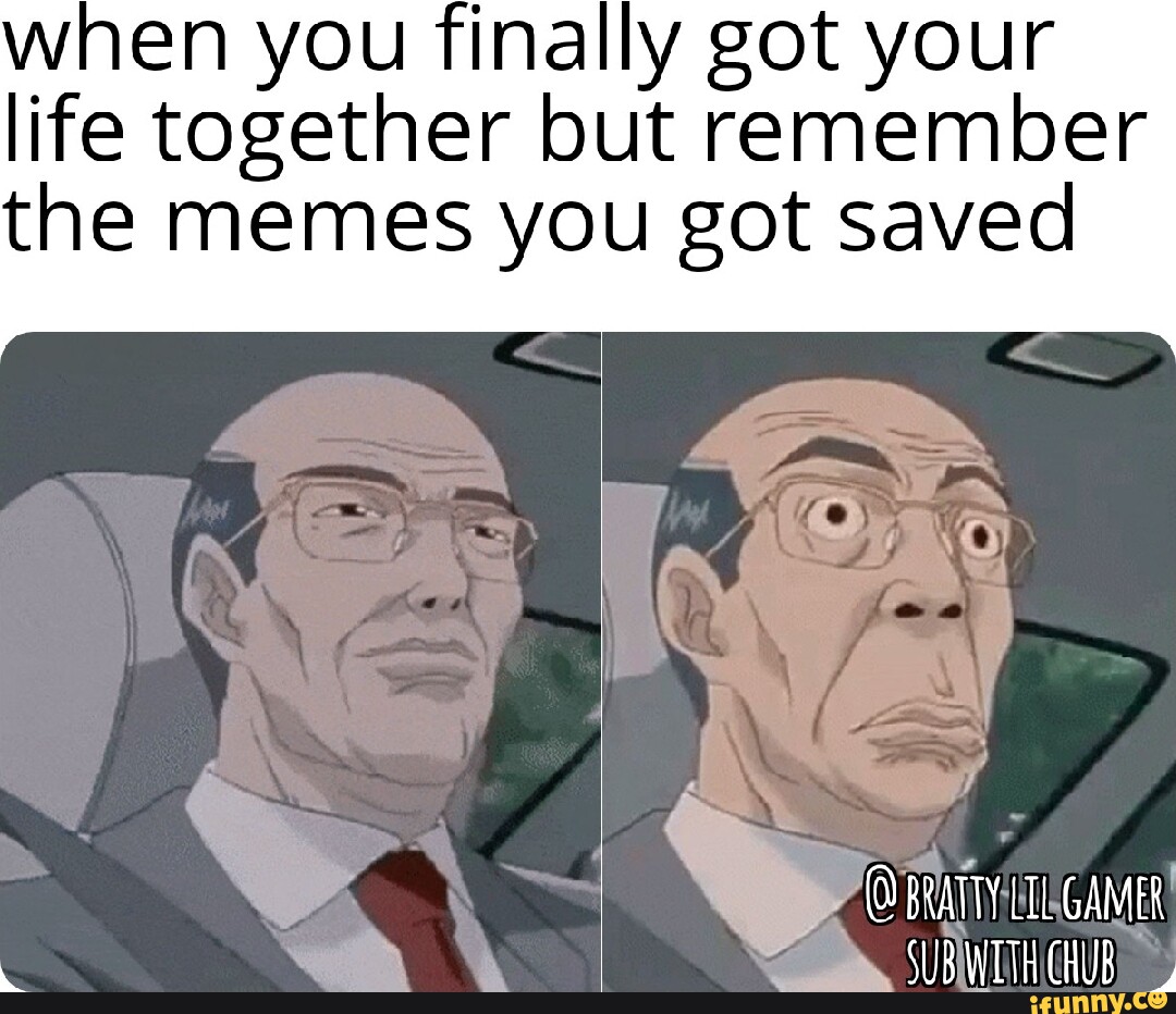 When you finally got your life together but remember the memes you got ...