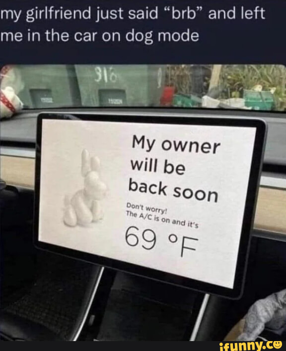 Rule - rule my girlfriend just said "brb" and left me in the car on dog ...