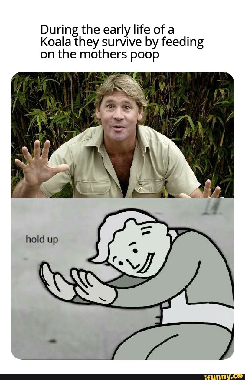 During the early life of a Koala they su rvive by feeding on the ...