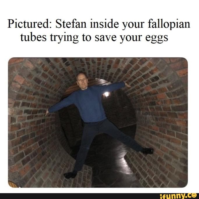 Pictured: Stefan inside your fallopian tubes trying to save your eggs ...