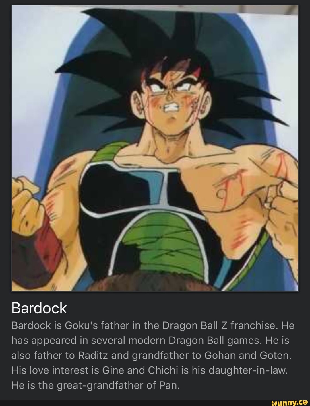 Bardock Bardock is Goku's father in the Dragon Ball Z franchise. He has ...