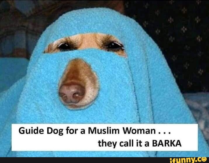 Barka memes. Best Collection of funny Barka pictures on iFunny