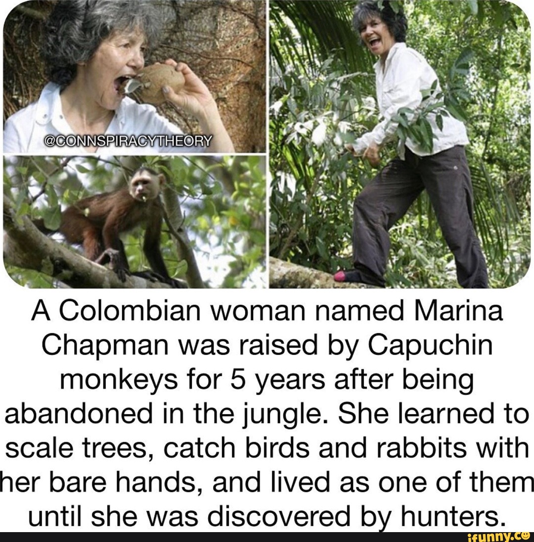 Splatoon memes memes. The best memes on iFunny