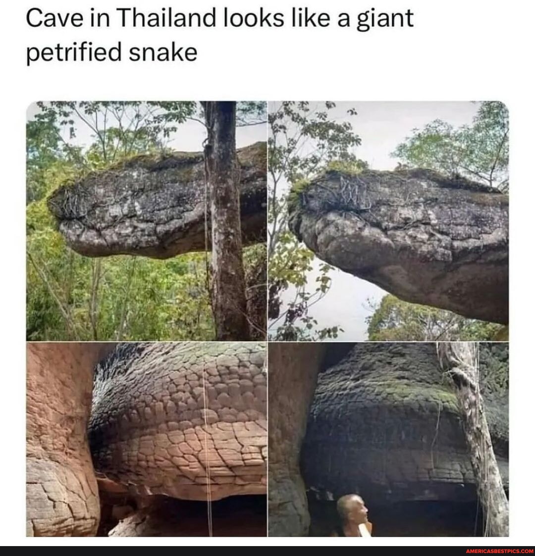 😳 #memes #snake #viral #explore - Cave in Thailand looks like a giant ...