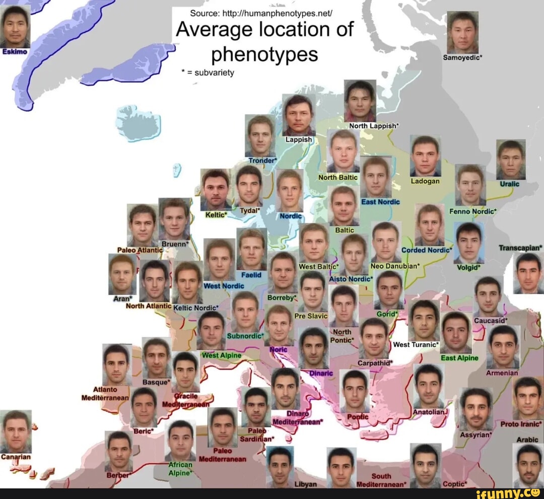 Phenotypes memes. Best Collection of funny Phenotypes pictures on iFunny