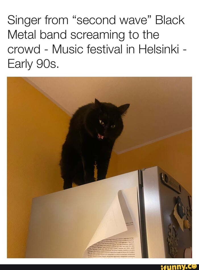 Singer from "second wave" Black Metal band screaming to the crowd ...