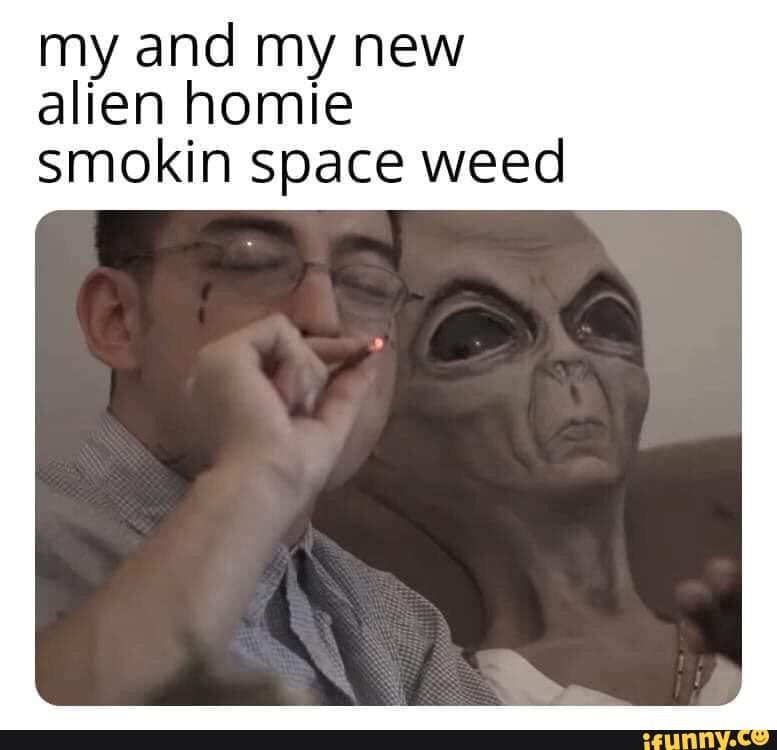 My and my new alien homie smokin space weed - iFunny