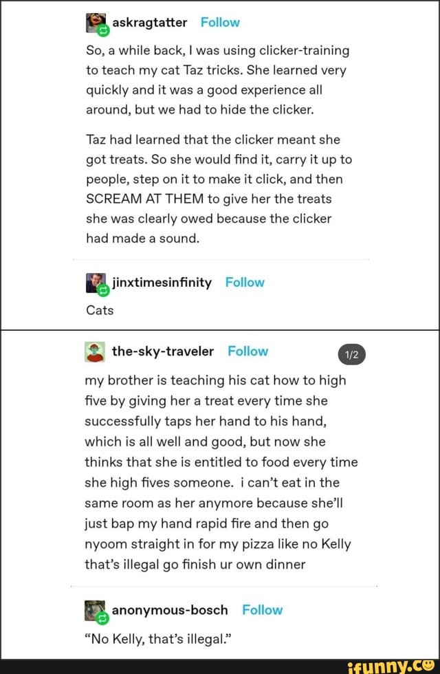 Cattraining memes. Best Collection of funny Cattraining pictures on iFunny