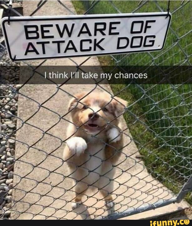 Tack memes. Best Collection of funny Tack pictures on iFunny