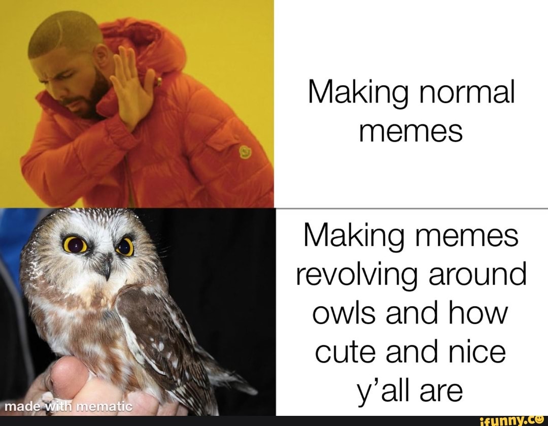 Making normal memes Making memes revolving around owls and how cute and ...