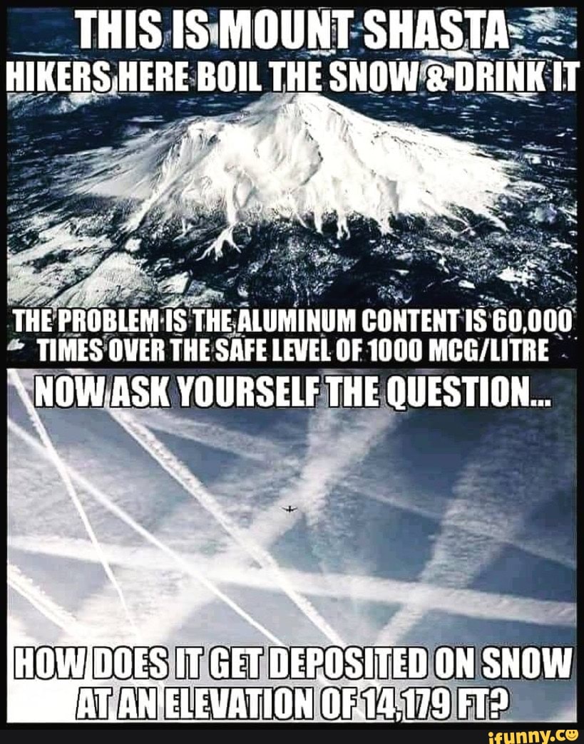 Anelevation memes. Best Collection of funny Anelevation pictures on iFunny