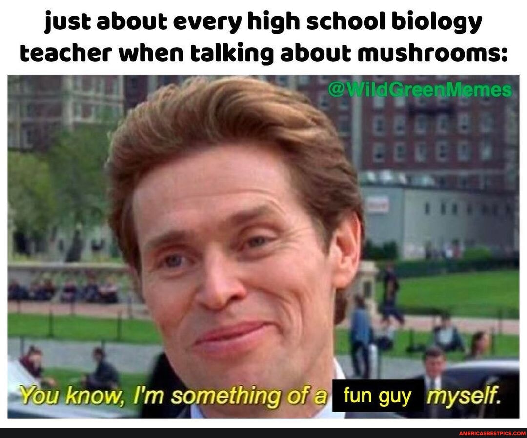 🍄 Happy Mushroom Monday! Meme by @beingevolved - just about every high ...