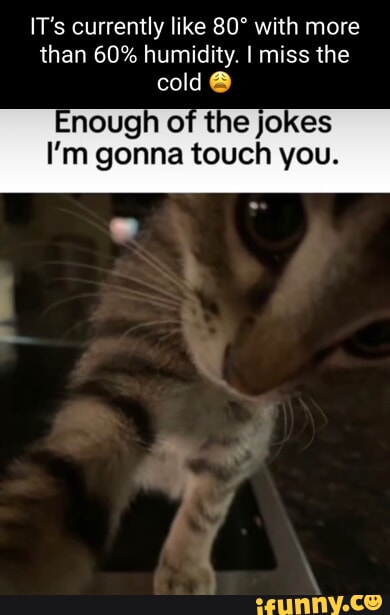 Humidity memes. Best Collection of funny Humidity pictures on iFunny