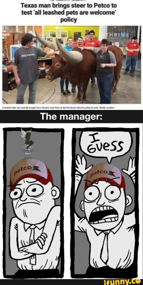 Texas man brings steer to Petco to test 'all leashed pets are welcome ...