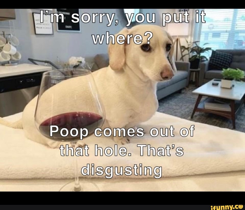 Thy I'm sorry. You put it where? Poop comes out of that hole. That's ...