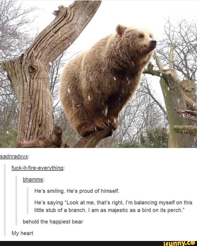 Branch memes. Best Collection of funny Branch pictures on iFunny