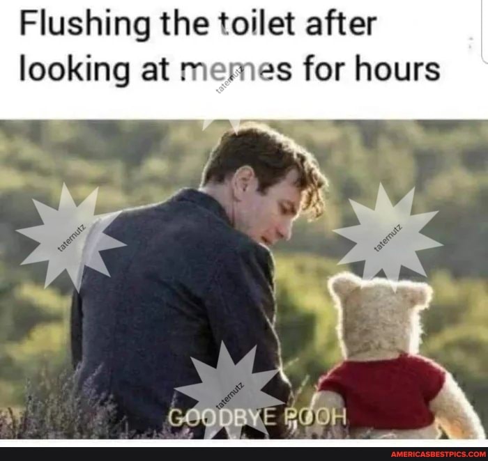 Flushing the toilet after looking at memes for hours - America’s best ...