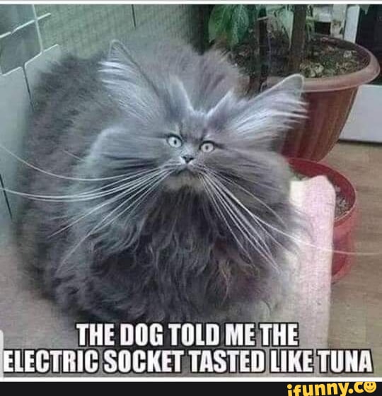 Video memes soqGRBVZ7 by Da_Astronaut44: 0.8K comments - iFunny