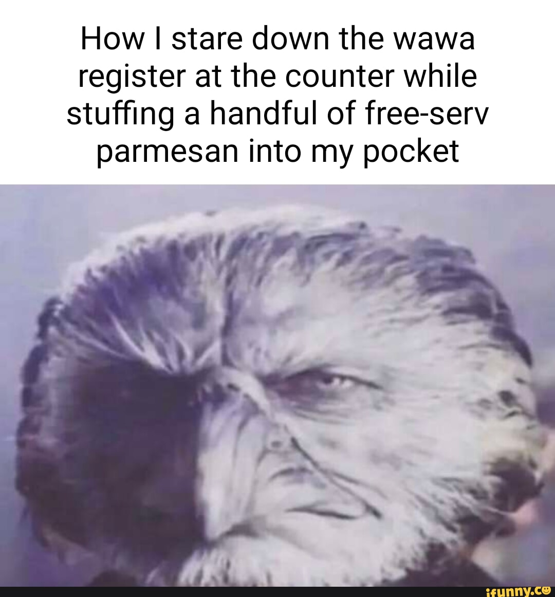 Wawa memes. Best Collection of funny Wawa pictures on iFunny