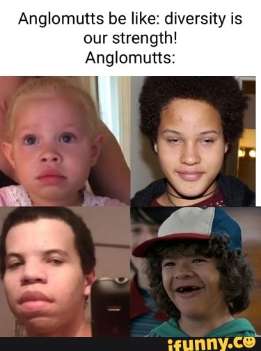 Anglomutt memes. Best Collection of funny Anglomutt pictures on iFunny