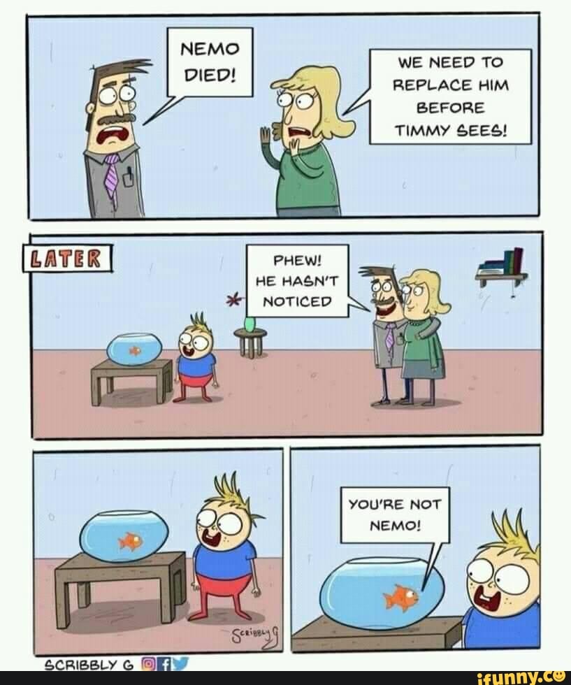 WE NEED TO REPLACE HIM BEFORE TIMMY SEES! PHEW! HE HASN'T NOTICED NOT ...