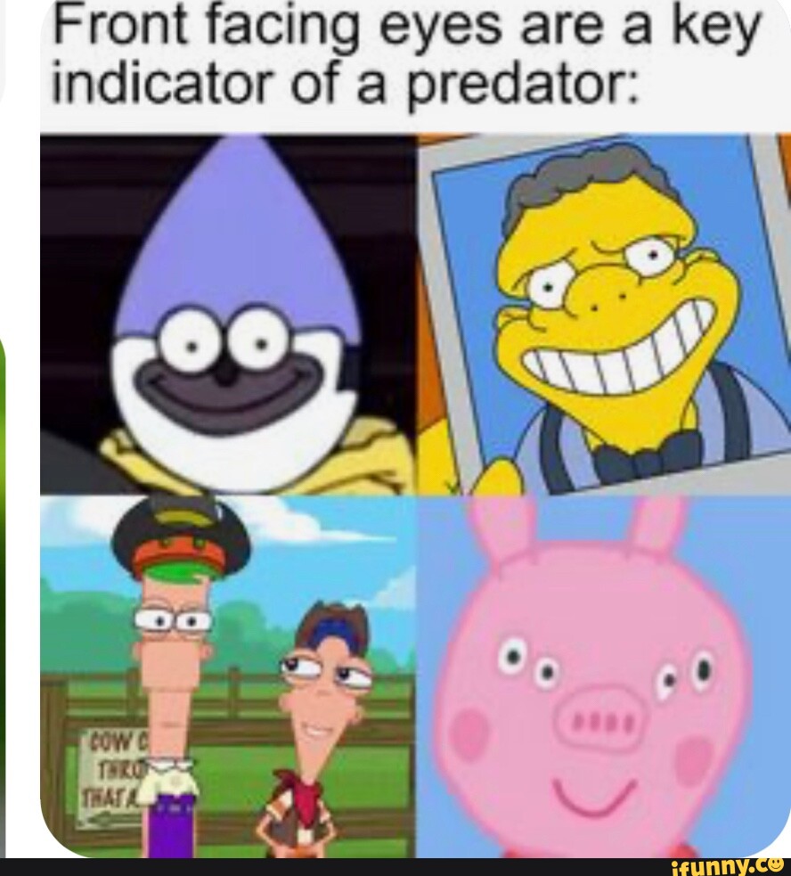 Indicator memes. Best Collection of funny Indicator pictures on iFunny