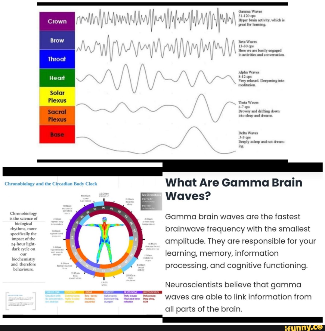 Plexus memes. Best Collection of funny Plexus pictures on iFunny