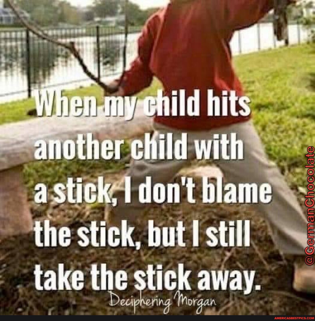 My child hits another child with a Stick, don't blame the stick, but ...